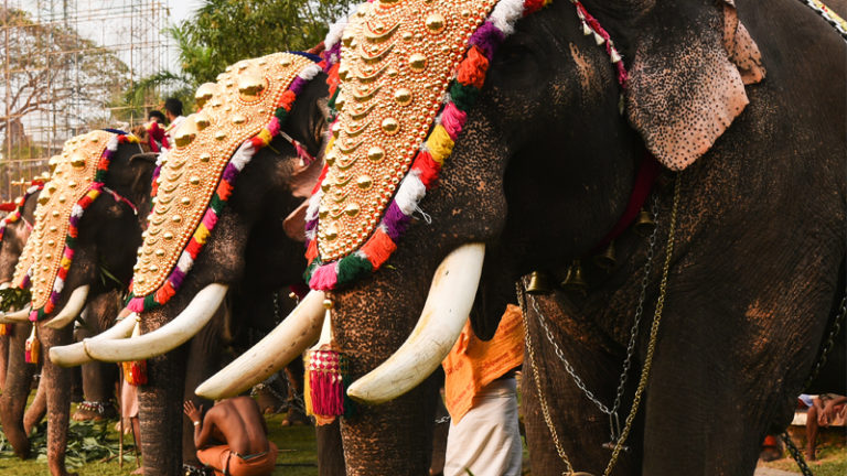 Onam Festival 2021: History, Significance and Celebrations - Pillai Center