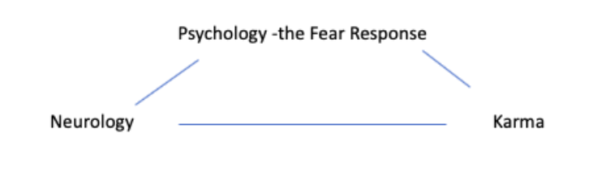 Turn Fear Into Power by Changing Your Chemistry - Pillai Center Blog