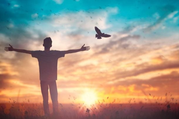 Are You Living the Life of Your Dreams? - Pillai Center Blog