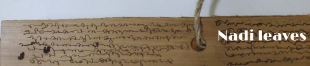 All You Need to Know about Nadi Astrology - Pillai Center Blog