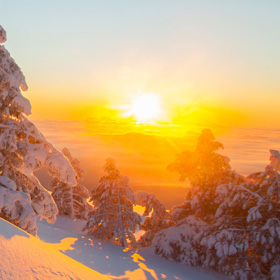 Jan IFL 2016: Spiritual New Year Interactive Fire Lab on Jan 14/15 Onl